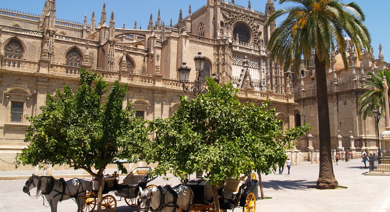 Monuments of Seville: Cathedral, Alcazar and Giralda with Tickets ...
