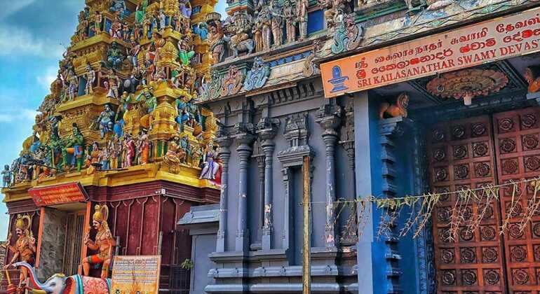 Glimpse of Colombo Walking Tour - Colombo | FREETOUR.com