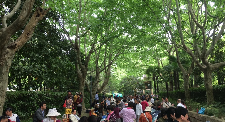 Shanghai Free Walking Tour - Shanghai | FREETOUR.com