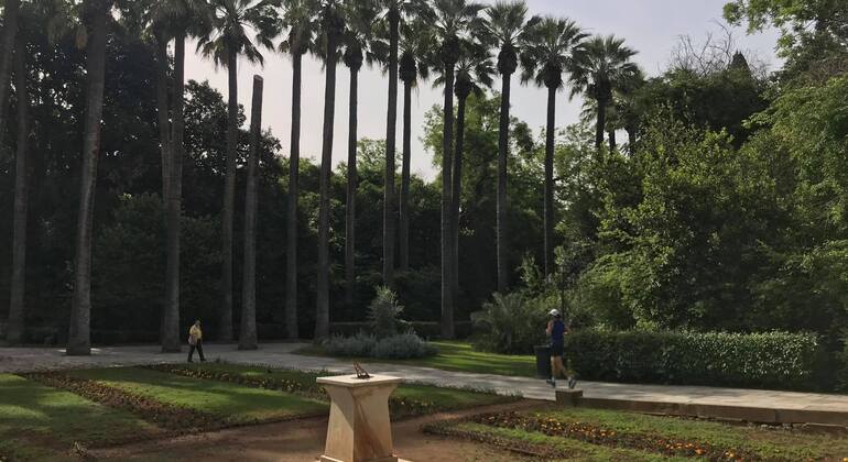 Historical Athens Run - Athens | FREETOUR.com