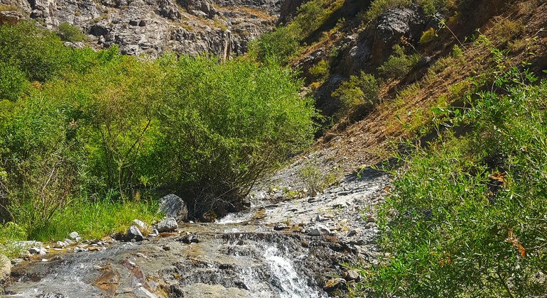 Unexplored Tashkent Tour: Paltau & Chukuraksu - Tashkent | FREETOUR.com