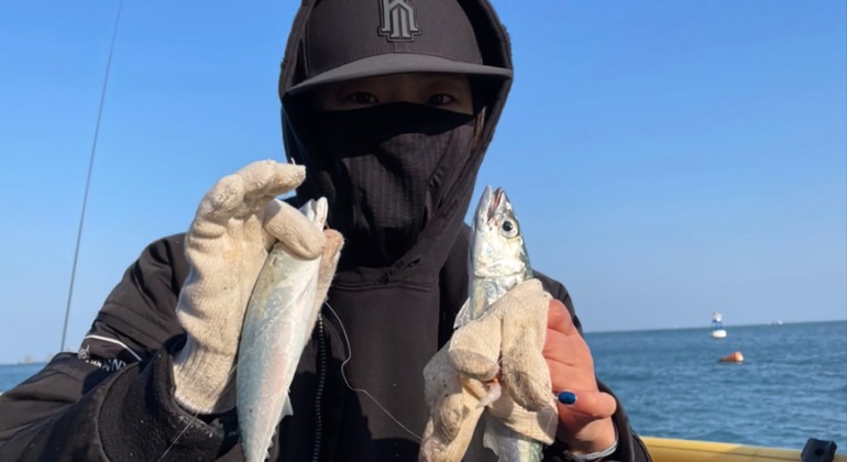 Free Tours in Busan, South Korea | FREETOUR.com