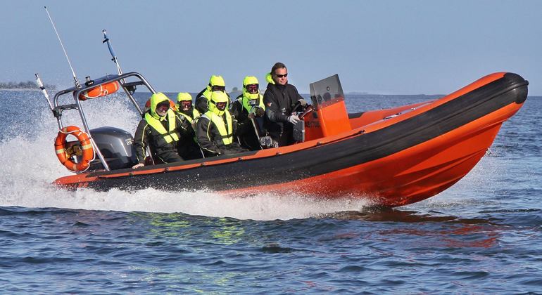 RIB Boat Cruise in Helsinki - Helsinki | FREETOUR.com