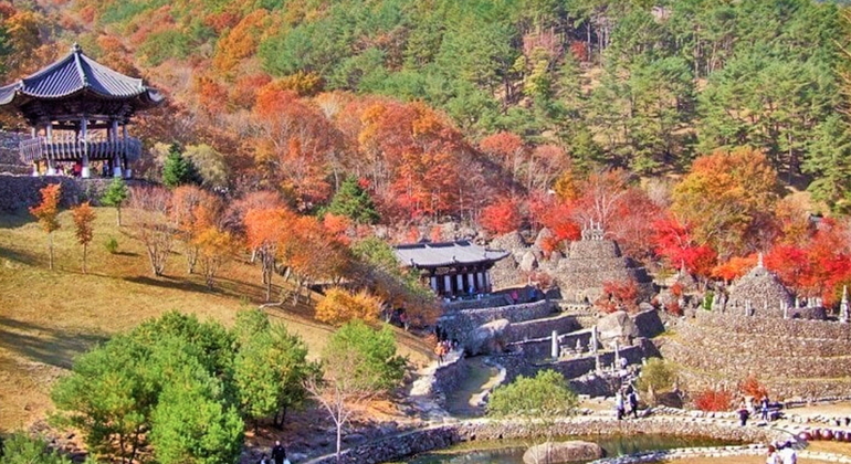 Tours Gratis en Busan, Corea del Sur | FREETOUR.com