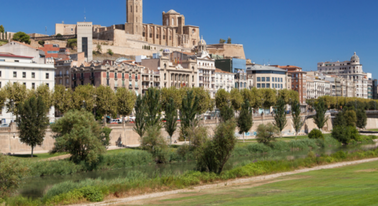 Free Walking Tour in Lleida - Lleida | FREETOUR.com