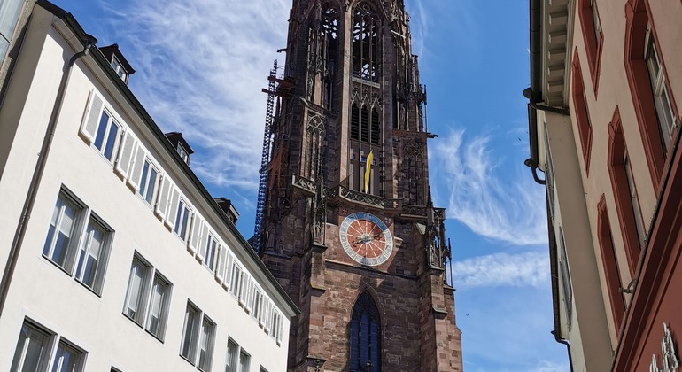 Private Freiburg City Tour - Freiburg | FREETOUR.com
