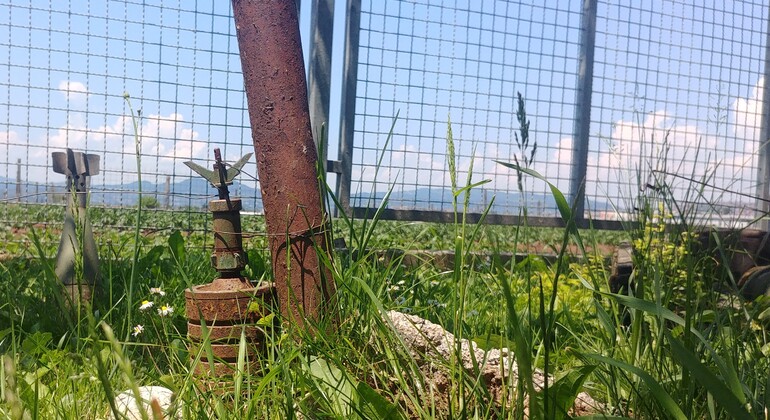 Free Tours in Sarajevo, Bosnia-Herzegovina | FREETOUR.com