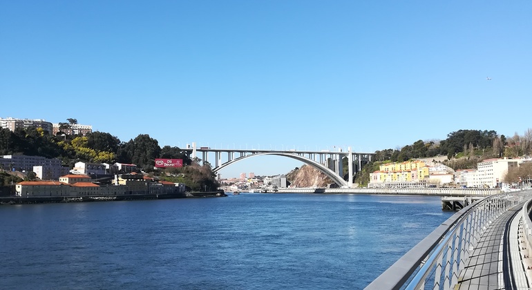 Free Walking Tour in the Heart of Porto - Porto | FREETOUR.com