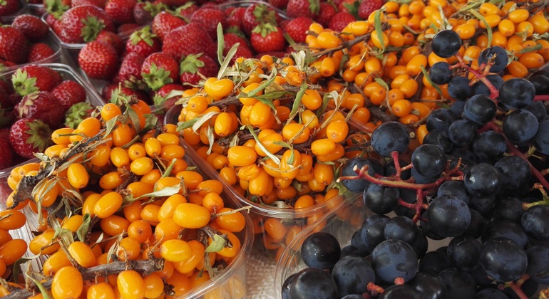 Free Tours in Helsinki, Finland | FREETOUR.com