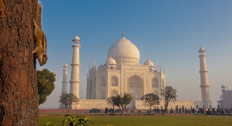 Free Tours in Agra, India | FREETOUR.com